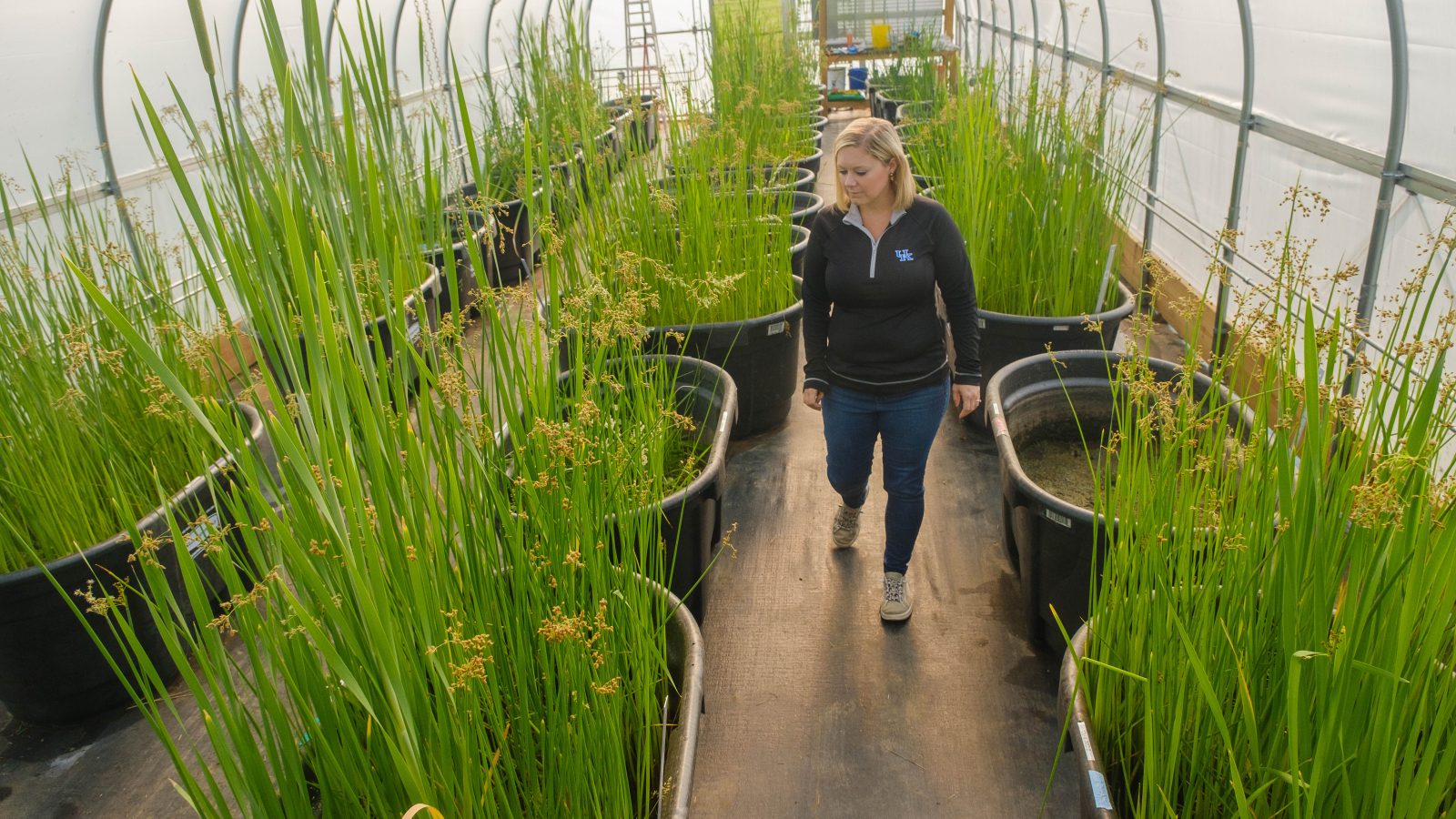 Research Advancing Kentucky: Messer’s dedication to clean water | UK ...