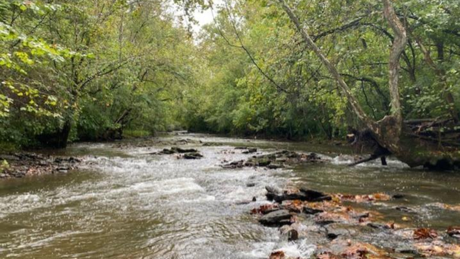 Interactive plan aims to protect limestone water in horse and bourbon ...