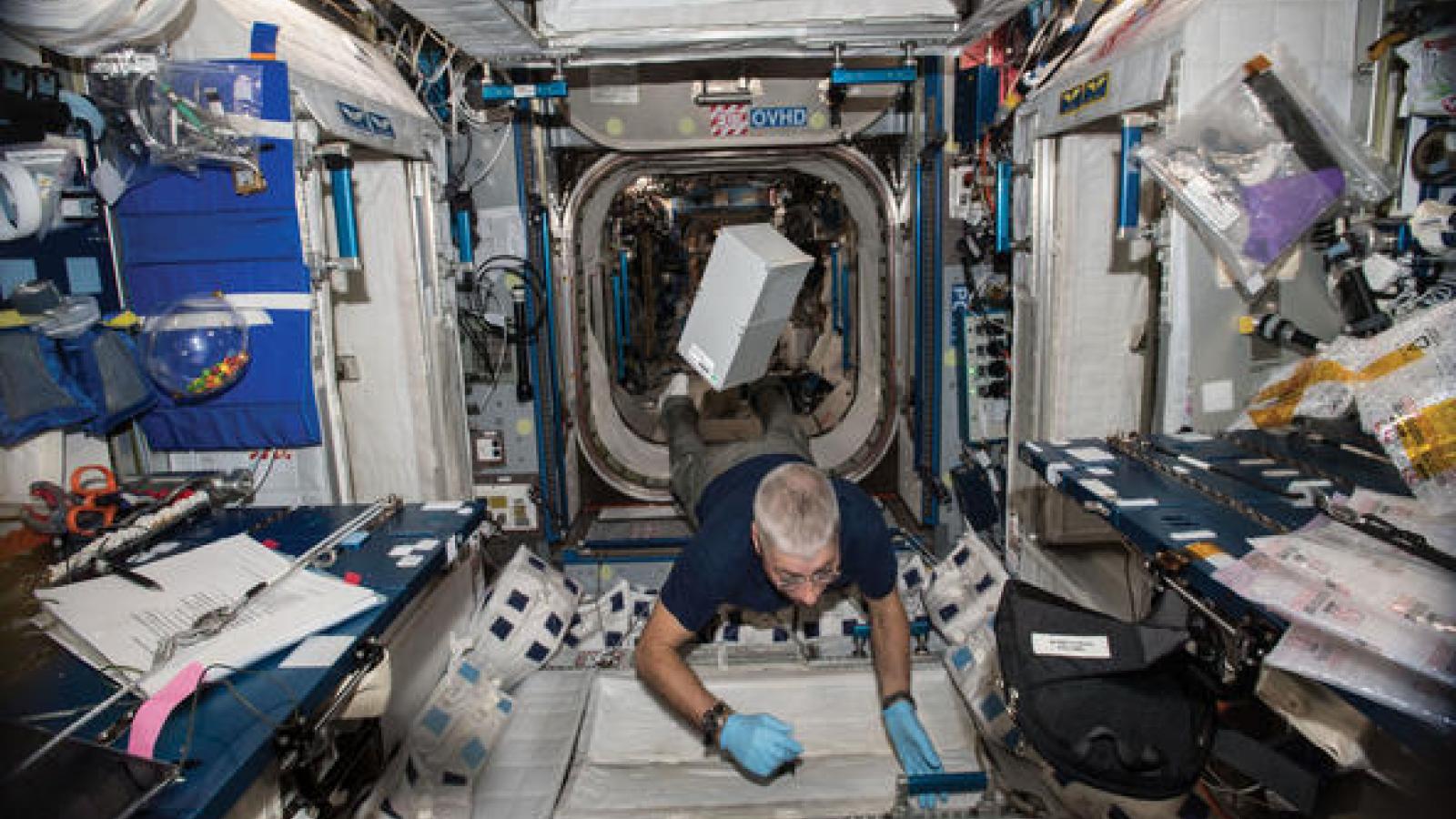 To Improve Life on Earth, Two UK Alumni Are Focused on Space | UK Research