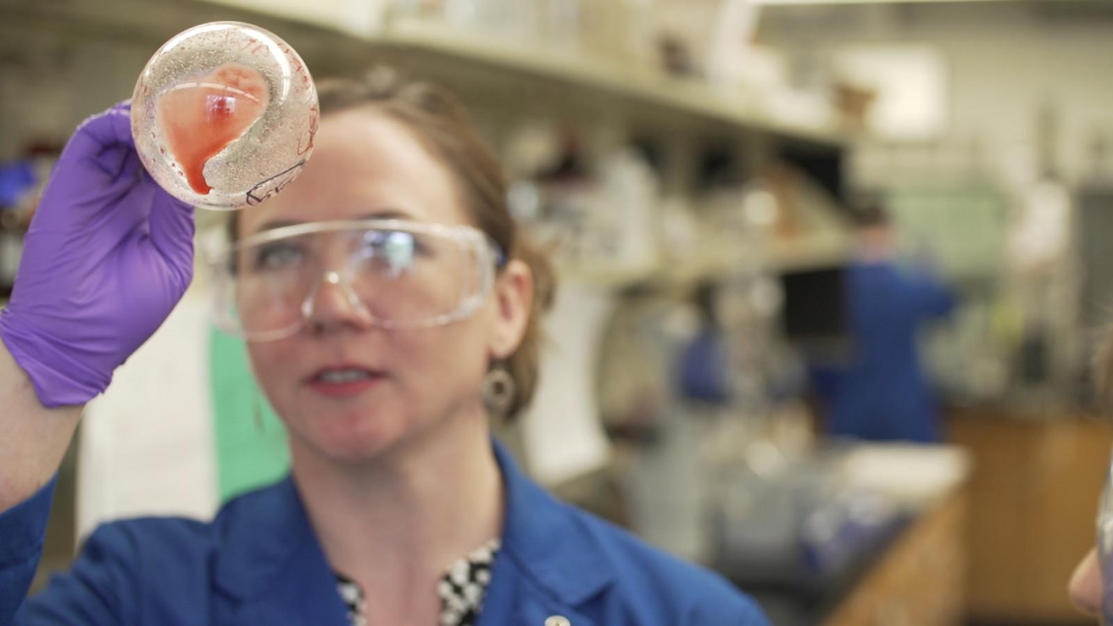 Organic Chemistry and Student Success with Susan Odom | UK Research